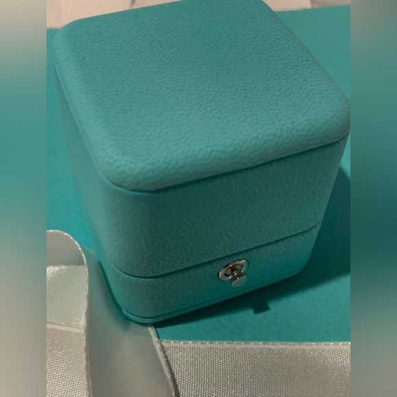 Tiffany & Co. | Storage & Organization | Brand New Authentic Medium ...